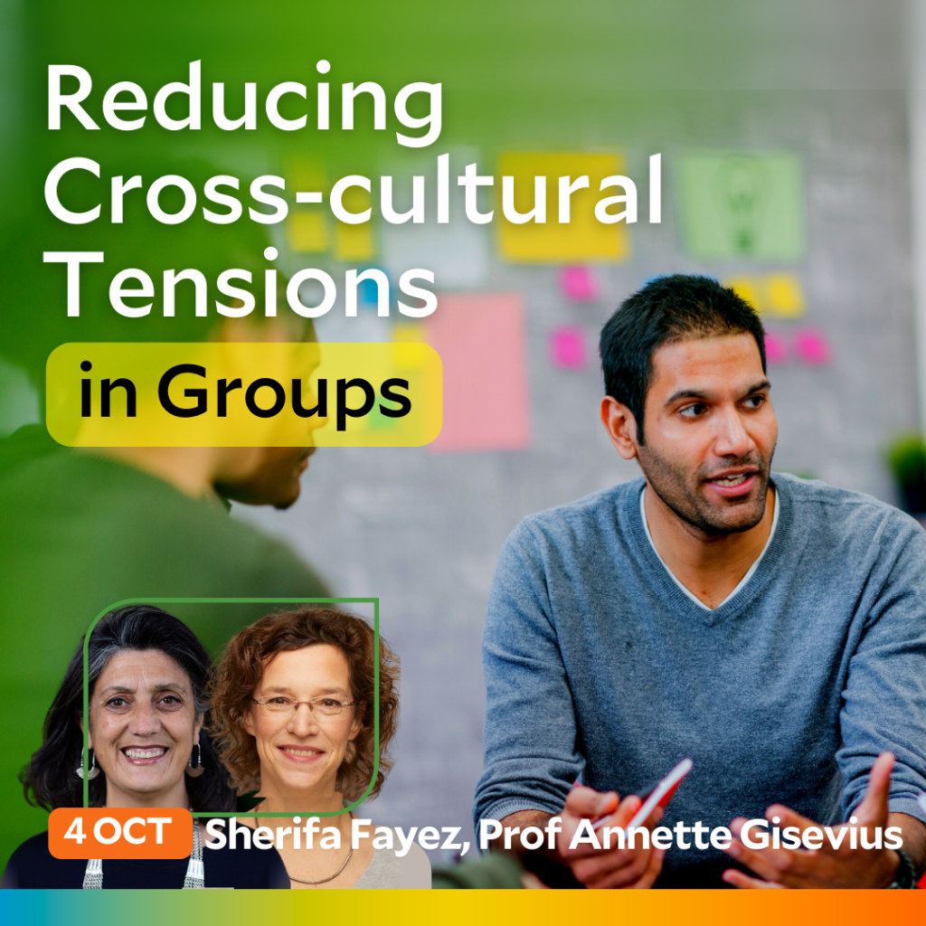 QDAD23-Reducing Cross-Cultural Tensions - Institute for Developing ...